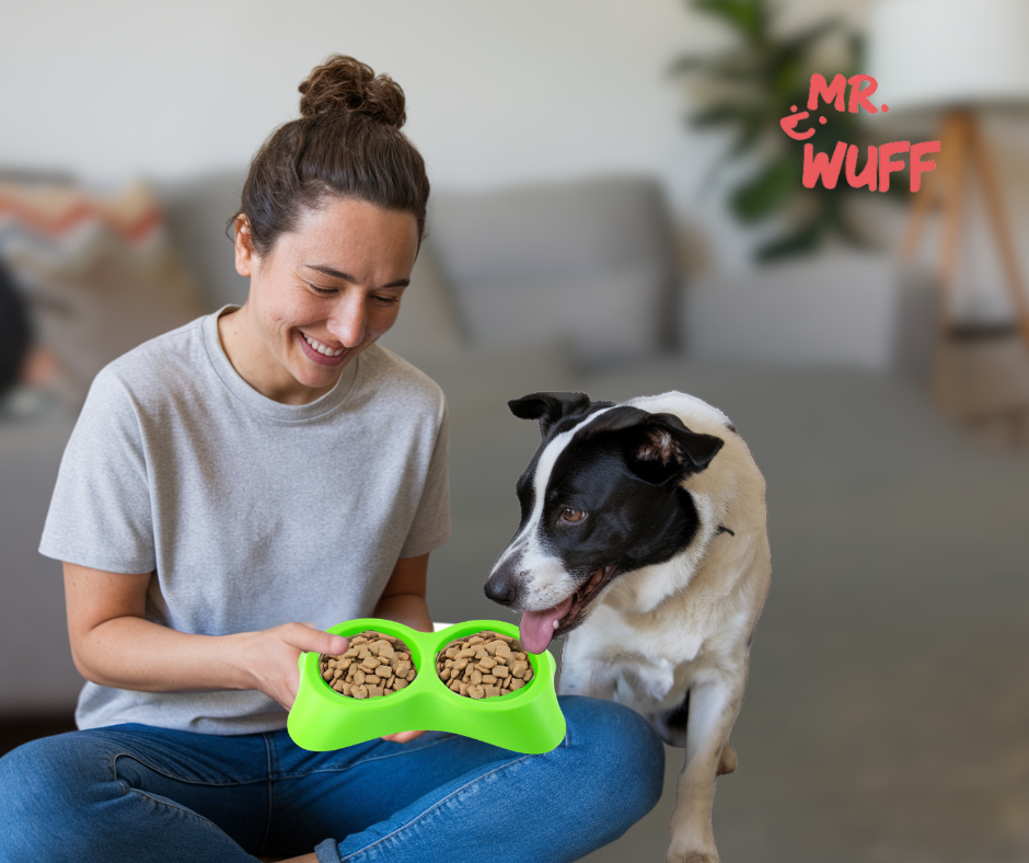 Plato Doble Comedero Para Perro Plastico Chico Mr Wuff - Mr. Wuff